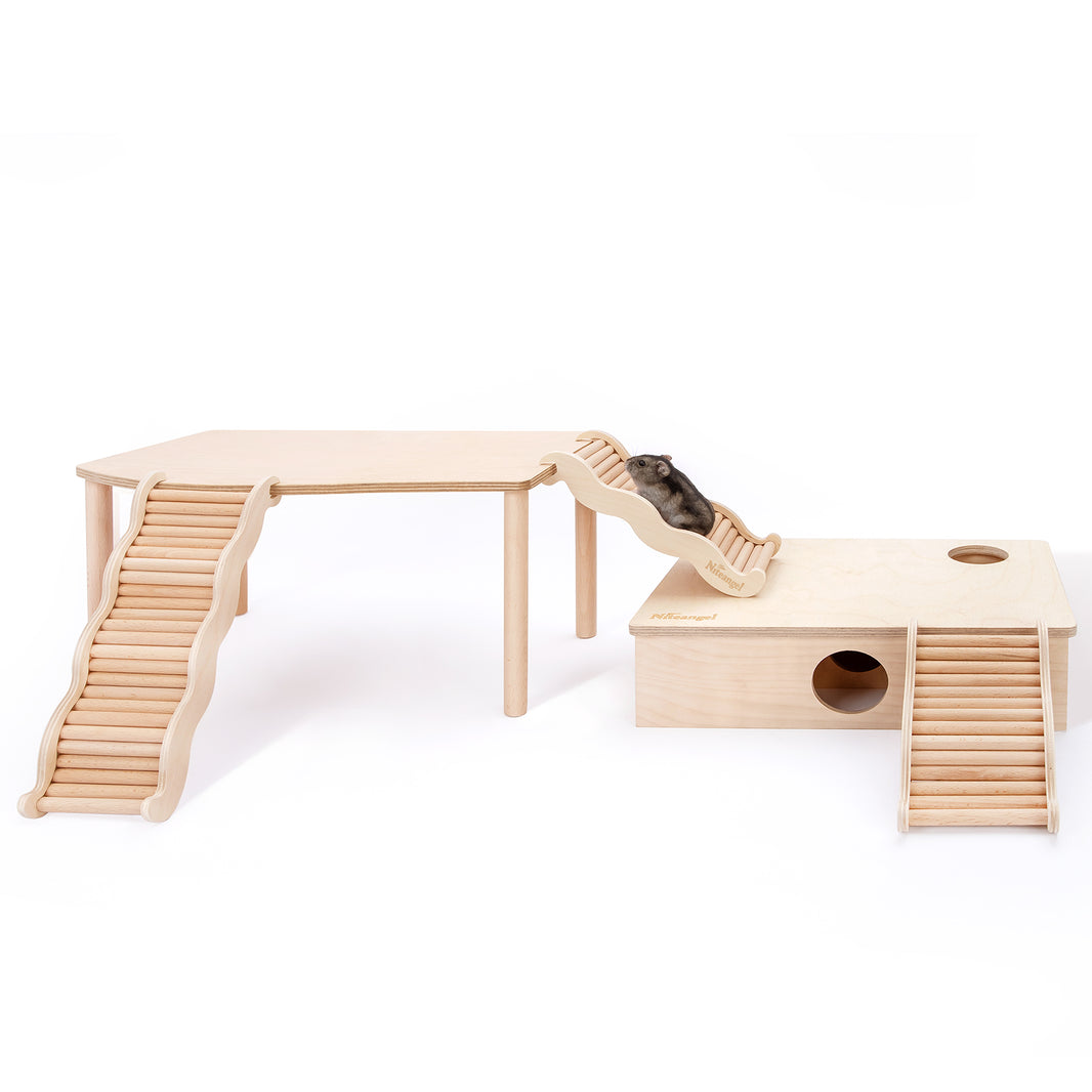 Accessories – Niteangel Pet CA